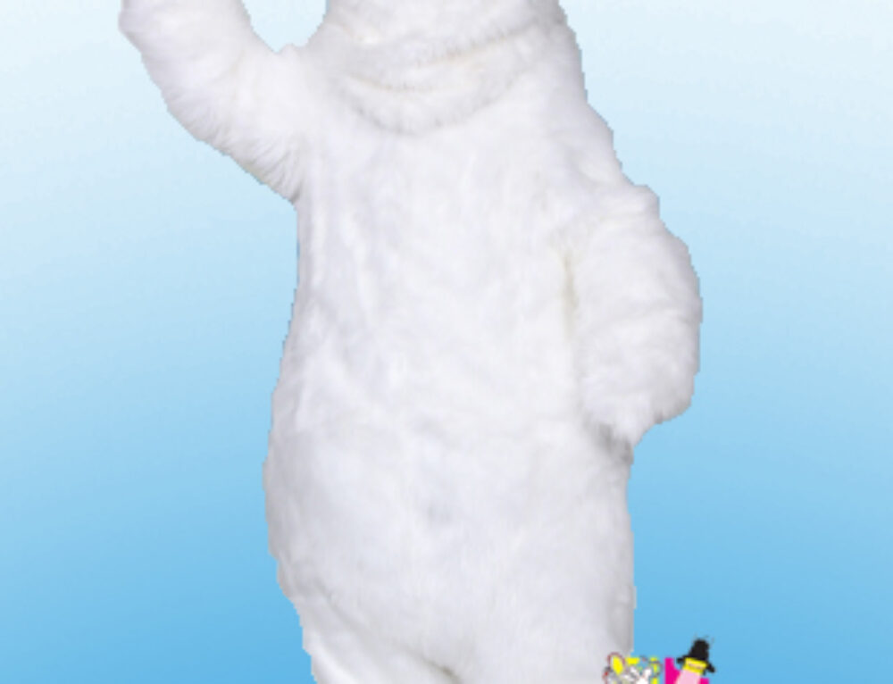 Elephant and Piggie - Costume Specialists