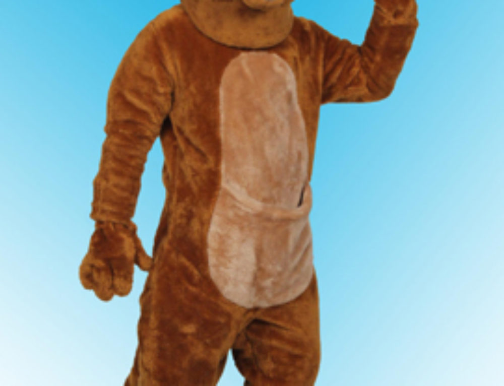 Snowman - Costume Specialists