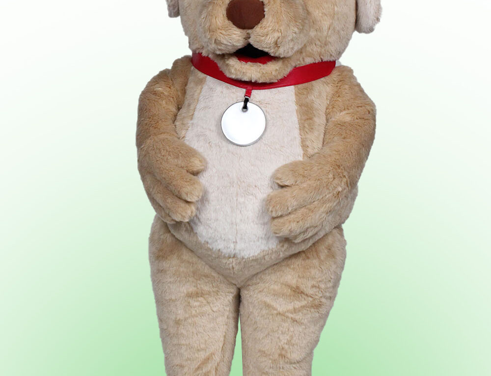 Lorax - Costume Specialists